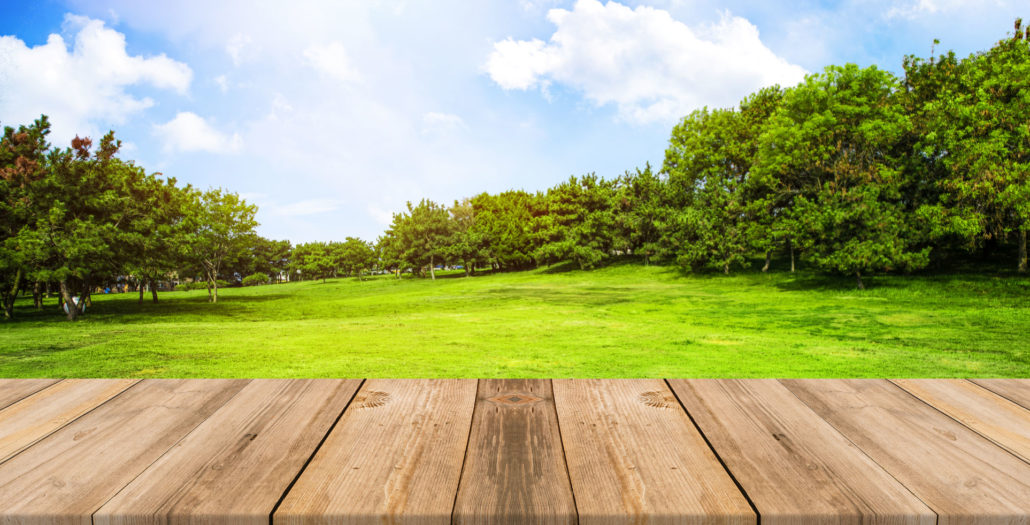 Mil-Fit-Pro – Suplementos alimenticios de origen vegetal